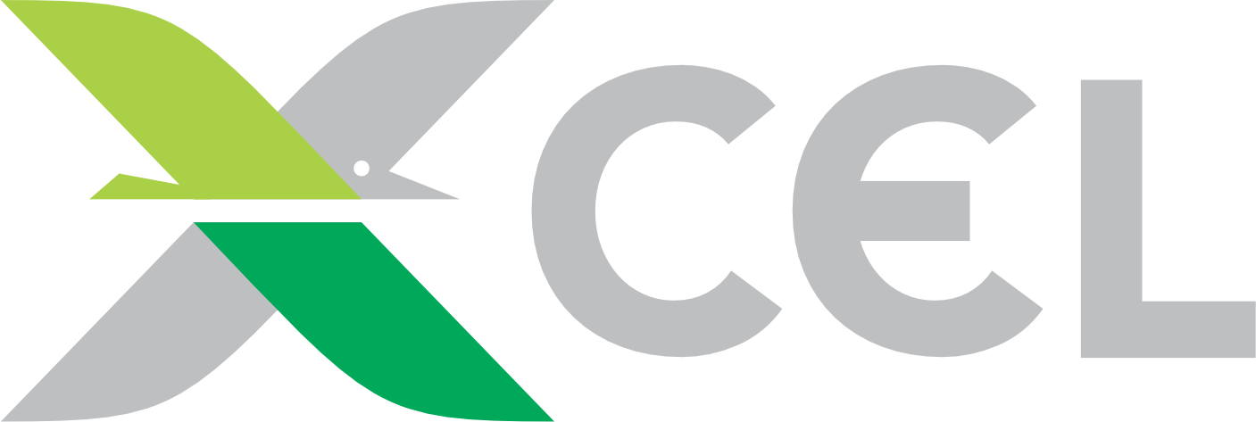 XCEL International Competitions